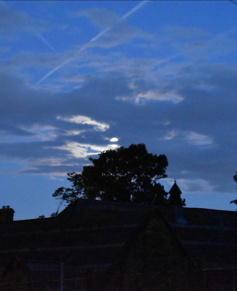 Half lit light – Mohamed Saloo